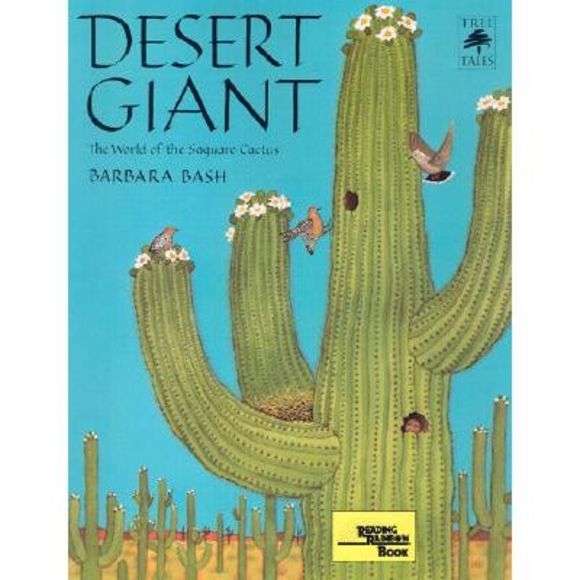 Barbara Bash | Other | Desert Giant The World Of The Saguaro Cactus ...